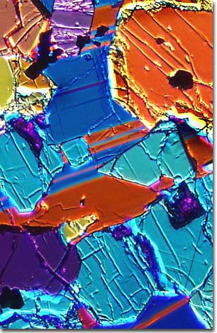 Molecular Expressions Microscopy Primer: Specialized Microscopy ...