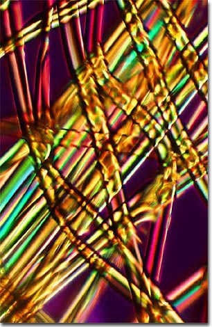 Molecular Expressions Microscopy Primer: Specialized Microscopy ...