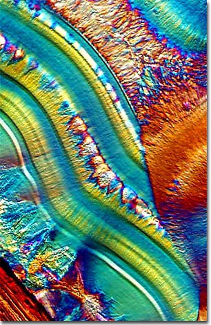 Molecular Expressions Microscopy Primer: Specialized Microscopy ...