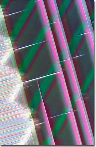 Molecular Expressions Microscopy Primer: Specialized Microscopy ...