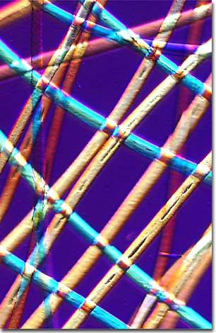 Molecular Expressions Microscopy Primer: Specialized Microscopy ...